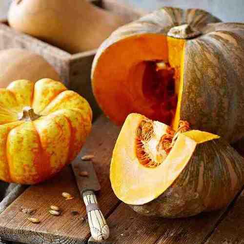 E'lien | Potiron Mautini pièce 2kg